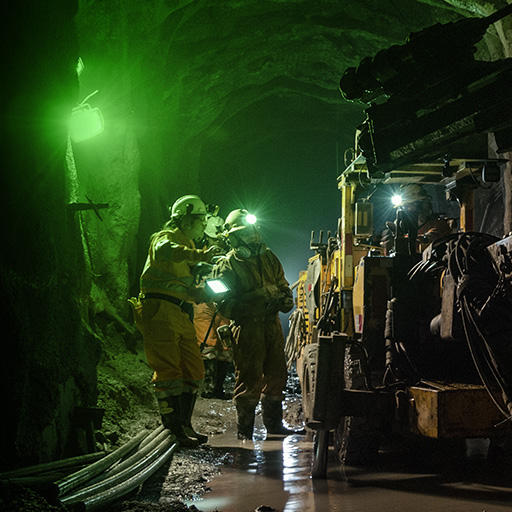 Qualifications and Programs – Mynesight Training